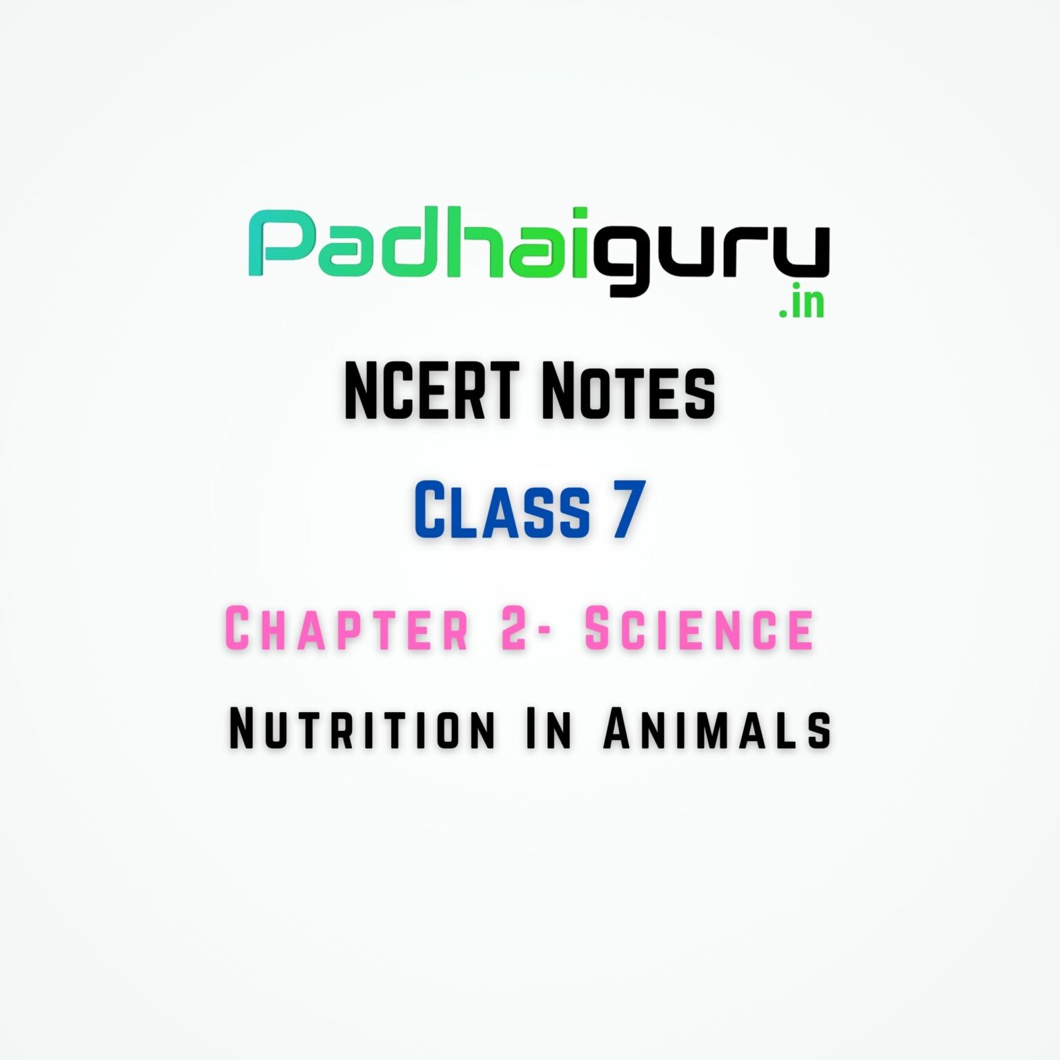 02. Nutrition in Animals Class 7 Science NCERT Notes for Chapter 2 CBSE ...